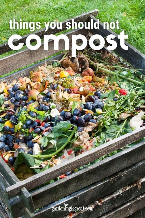 What Not To Compost? 12 Things You Shouldn't Compost – Gardening is Great