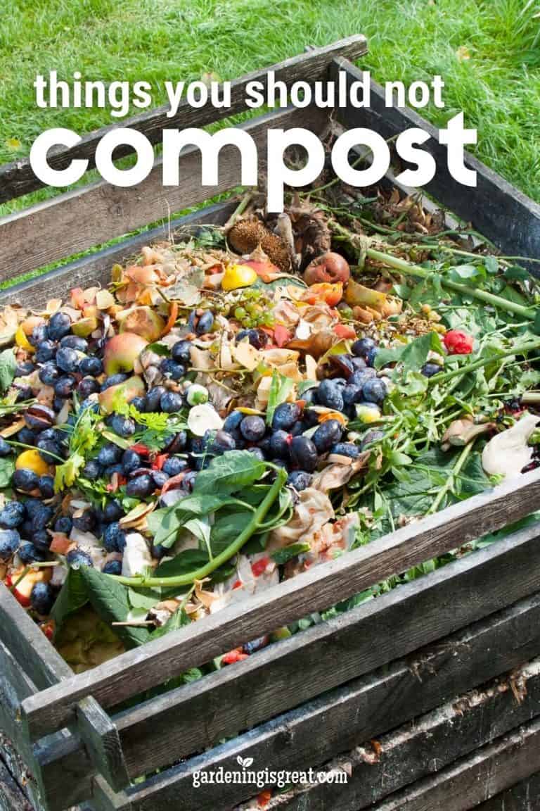 What Not To Compost? 12 Things You Shouldn't Compost – Gardening is Great