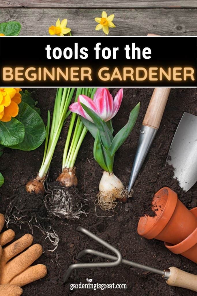 6 Basic Tools for Gardening That Every Beginner Gardener Needs ...