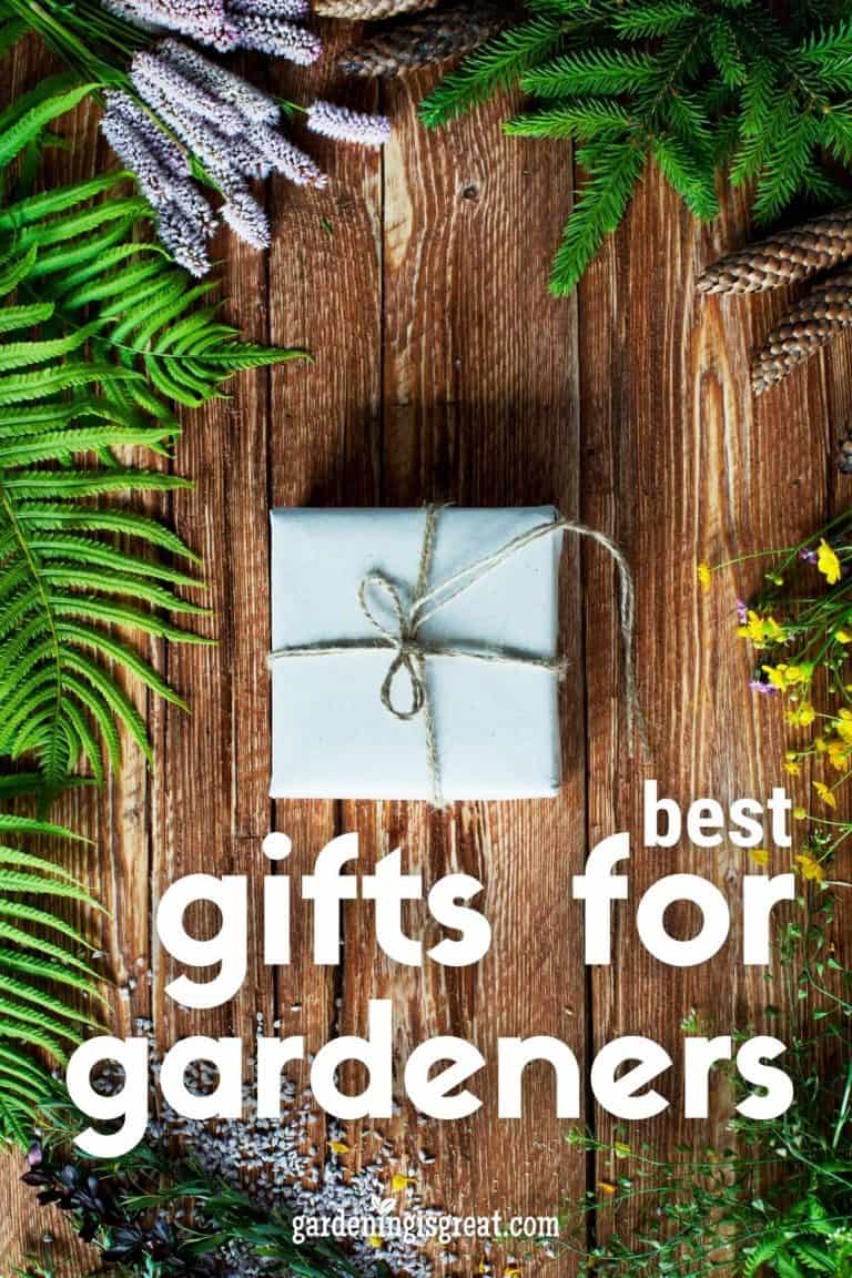 20 Best Gifts for the Gardeners in Your Life – Gardening is Great